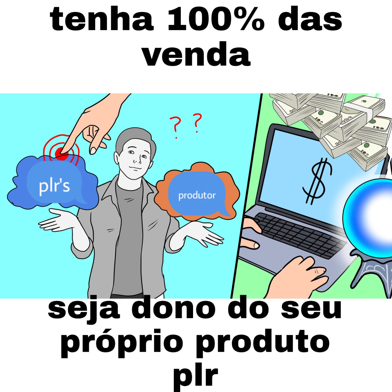 Pack PLR Pro