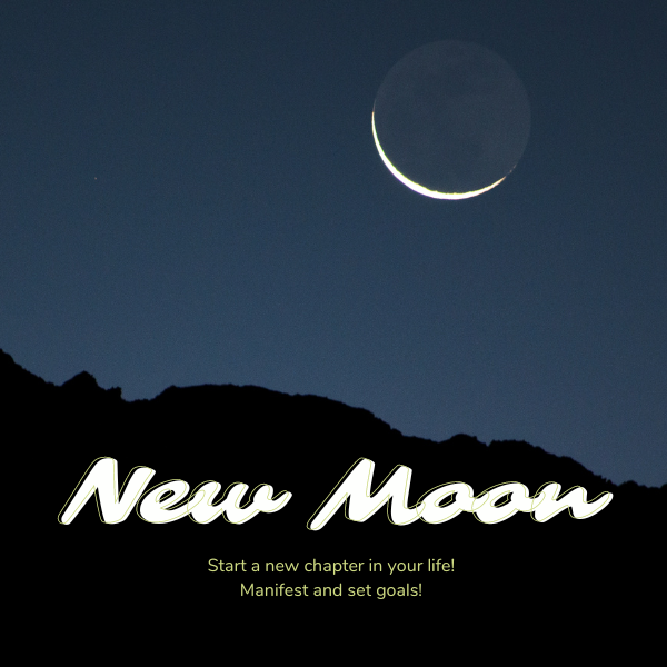 The New Moon Workbook