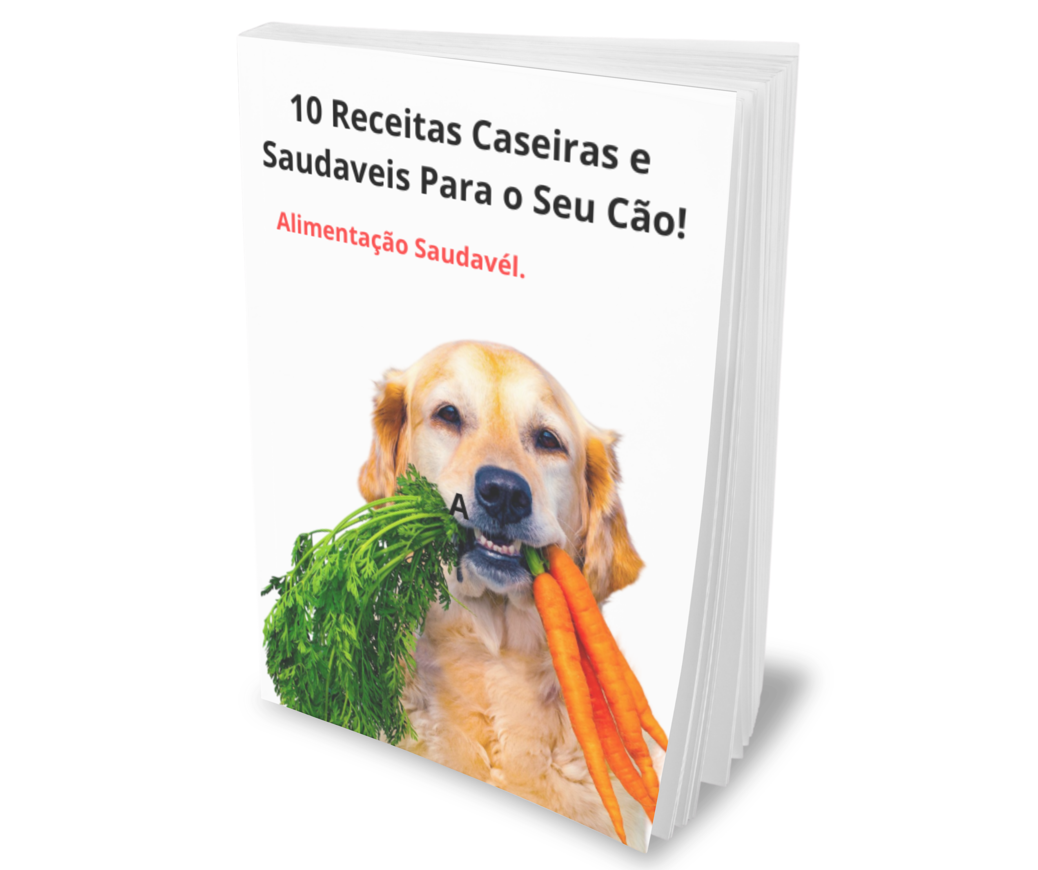 10 Receitas Caseiras e Saudáveis - Naibel Mota | Hotmart