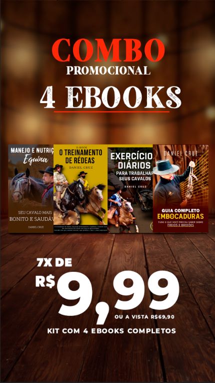 Combo Promocional dos 4 E-BOOKS