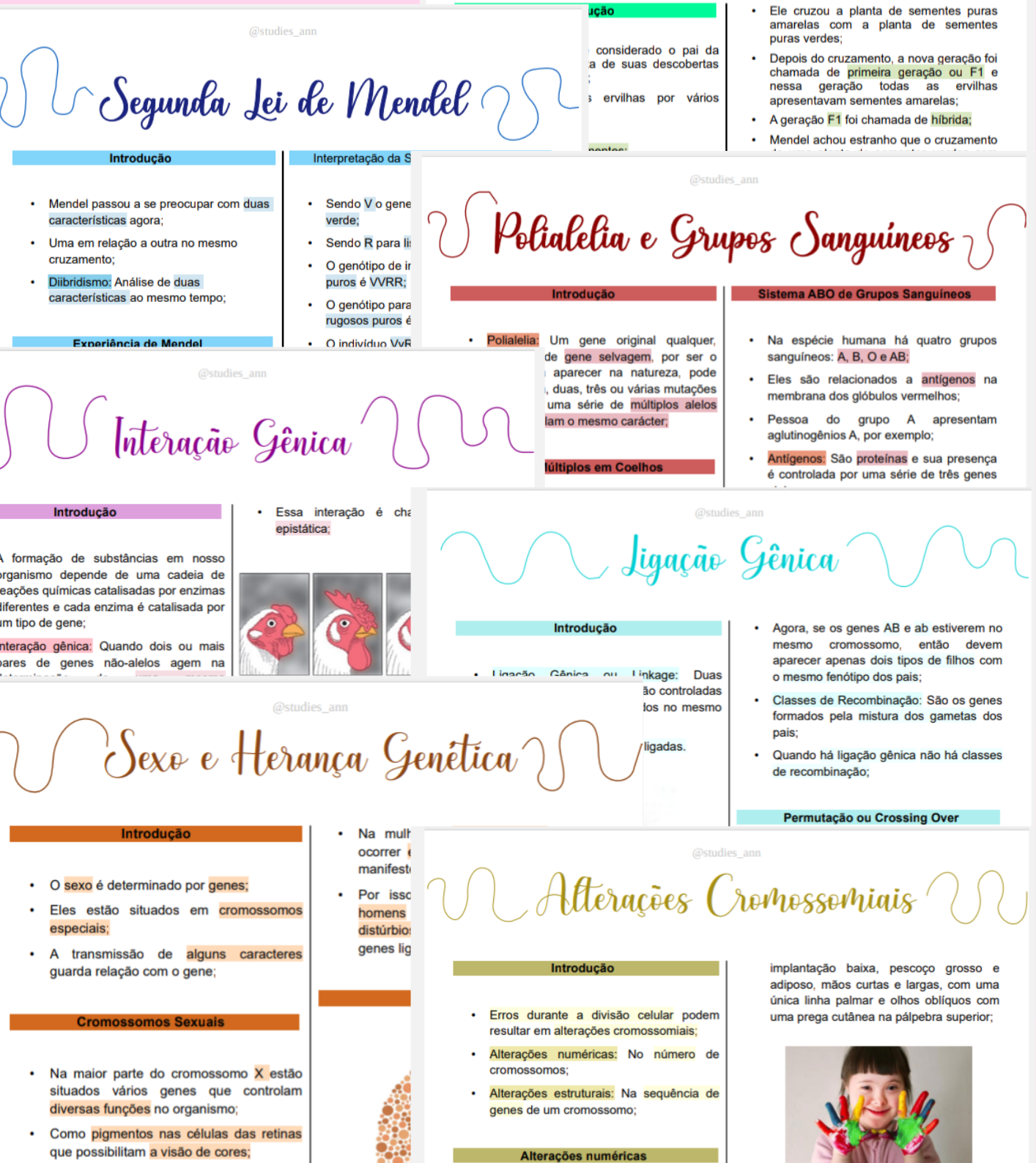 Apostila de Genética - Ariane Rocha Queiroz | Hotmart