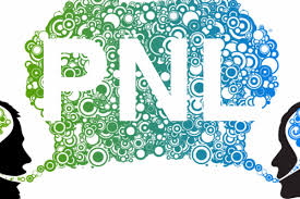 Manual de PNL