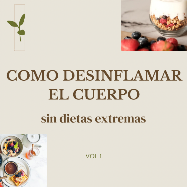 Guía para desinflamar tu cuerpo sin extremos - Amancio Fernandez