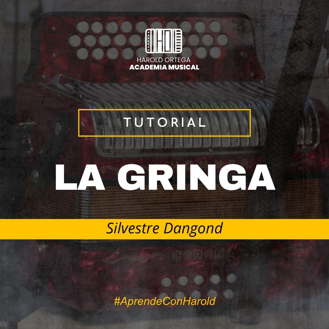 La gringa - Silvestre Dangond - Academia Musical Harold Ortega | Ho...