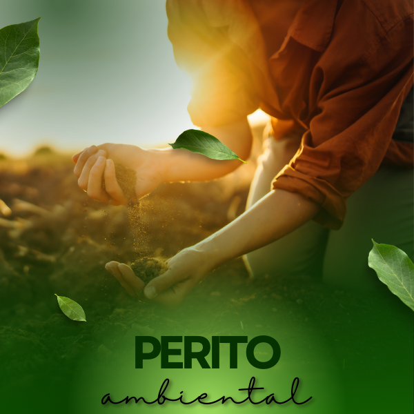 Perito Ambiental