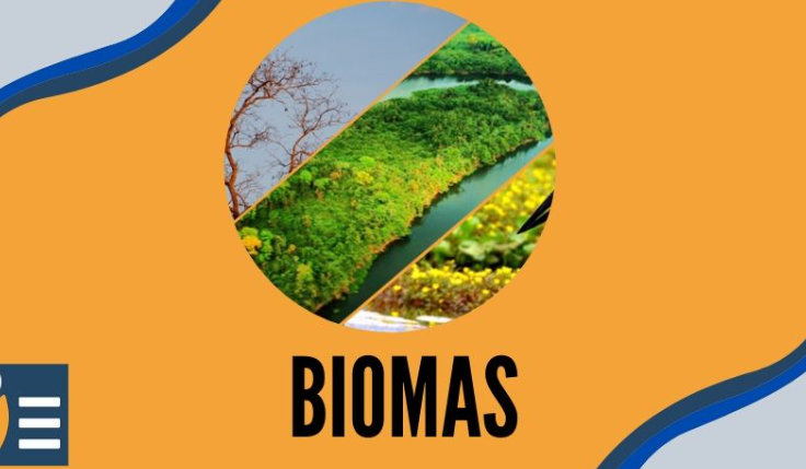 Mini-Curso tema: BIOMA - serve como trabalho