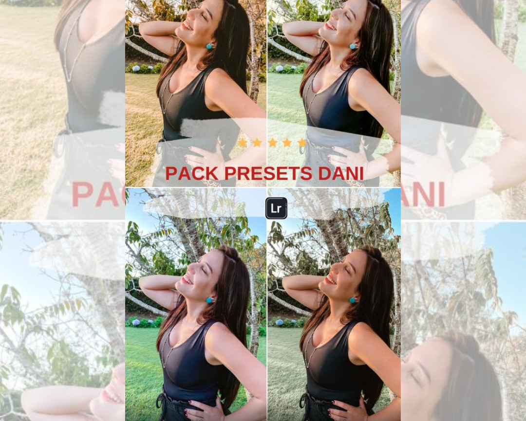 Presets da Dani - Versátil