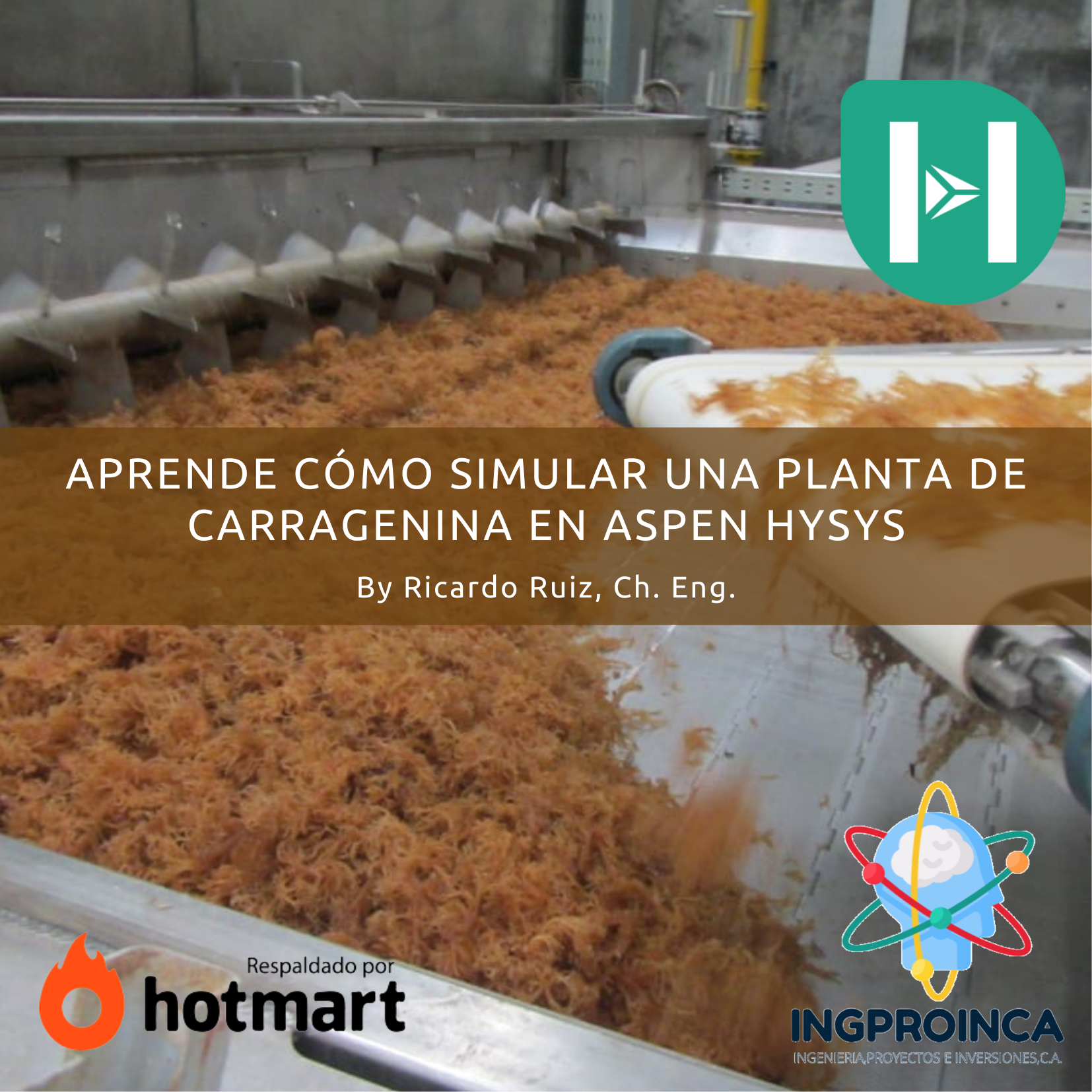 Aprende cómo simular una Planta de Carragenina en Aspen Hysys
