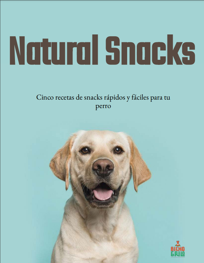 Natural Snacks: Cinco recetas de snacks rápidos y fáciles para tu p...