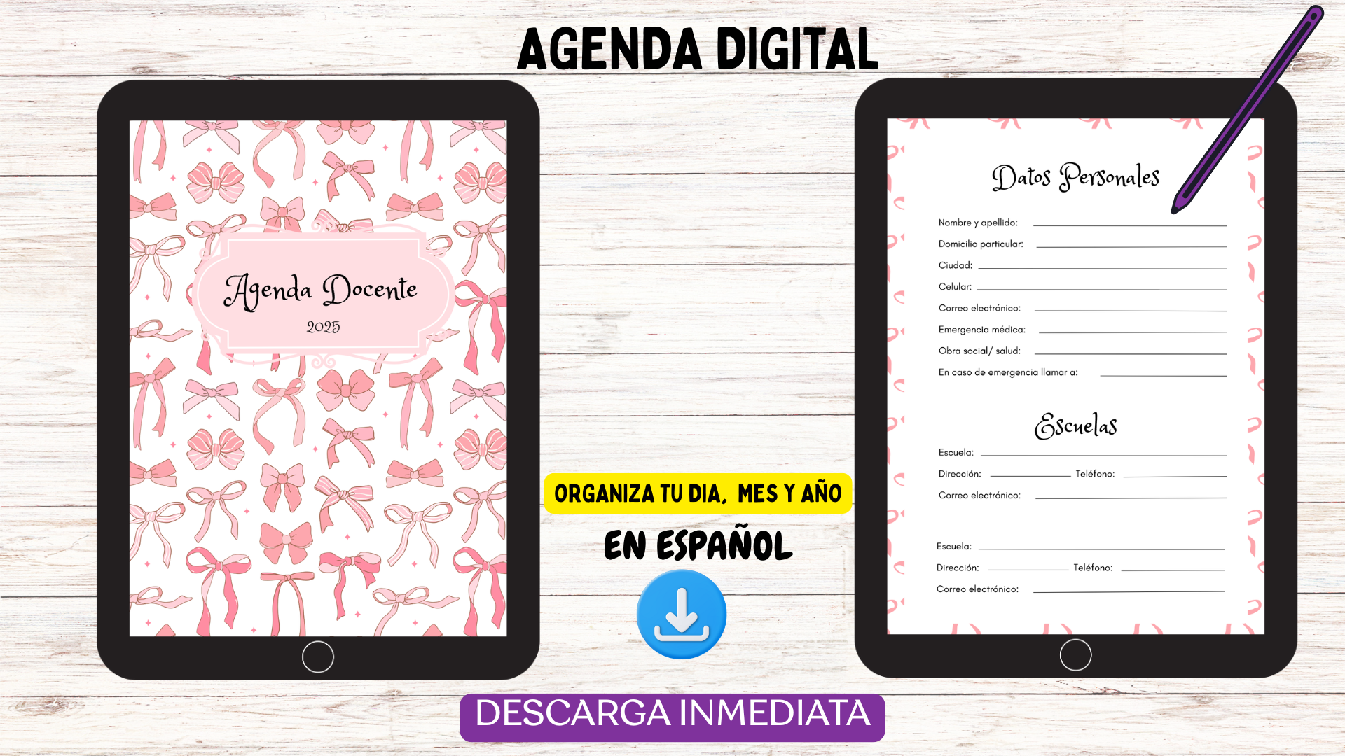 Agenda Digital para Docentes 2025 - Constanza Marketing Digital