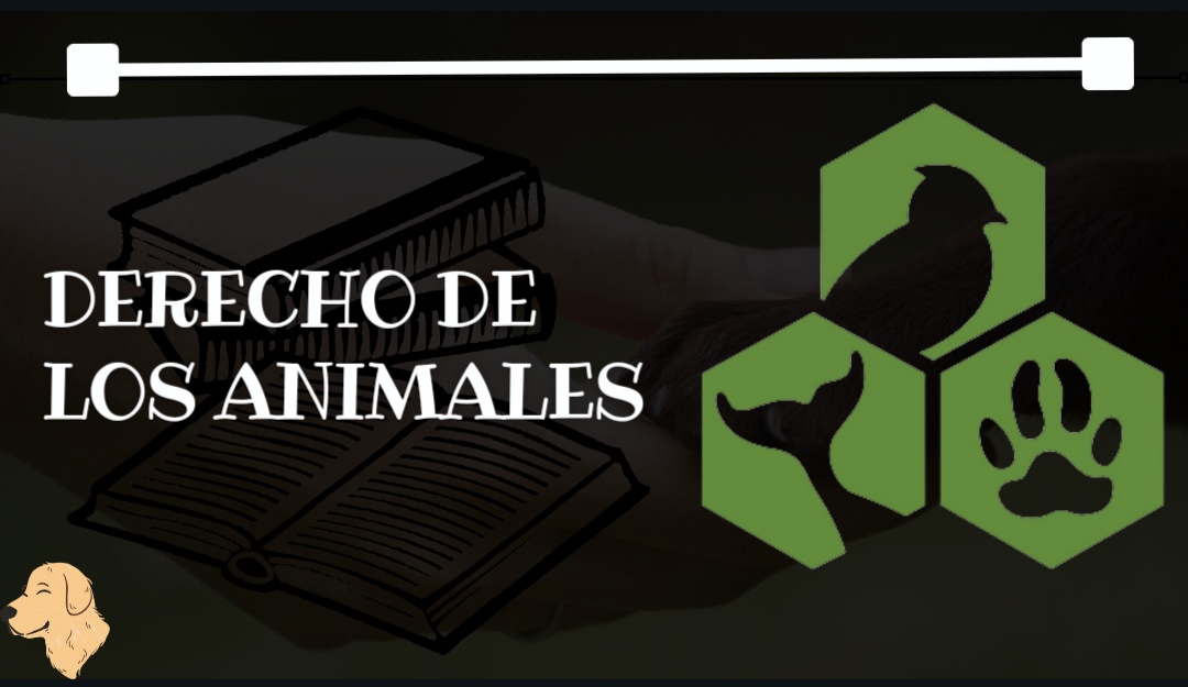 CUALES SON LOS DERECHOS DE LOS ANIMALES¿? - Jeriel Elian López Zaca...