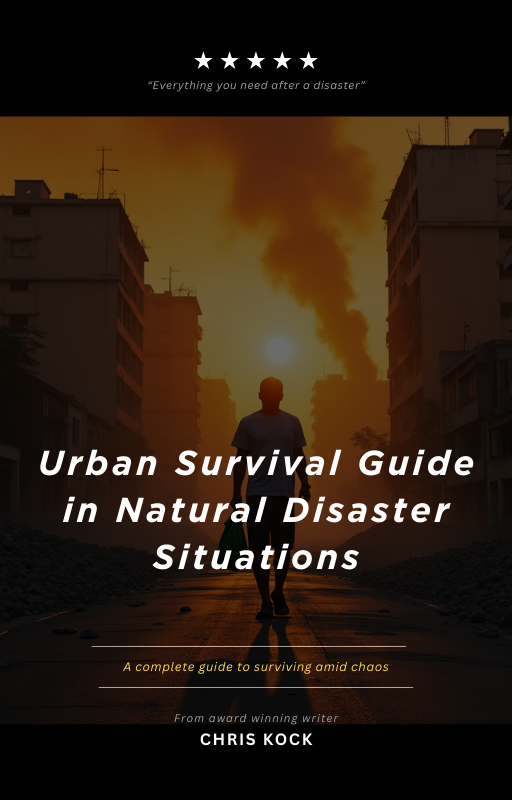 Urban Survival Guide in Natural Disaster Situations