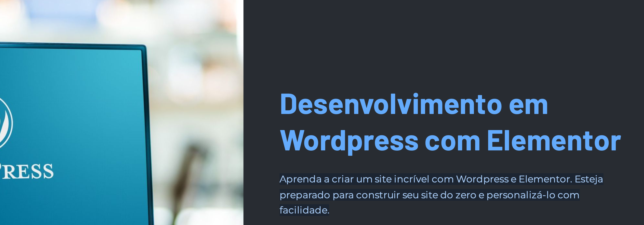 Guia Básico de desenvolvimento em Wordpress com Elementor - Ganhe M...