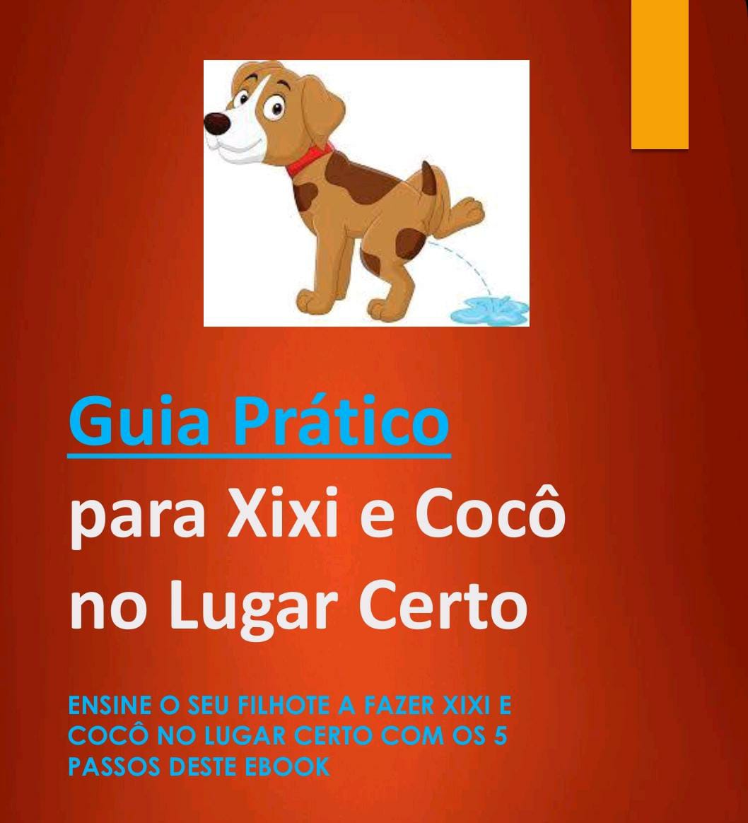 Guia Prático Para Xixi e Cocô no Lugar Certo - Luiz Felipe Silva de...