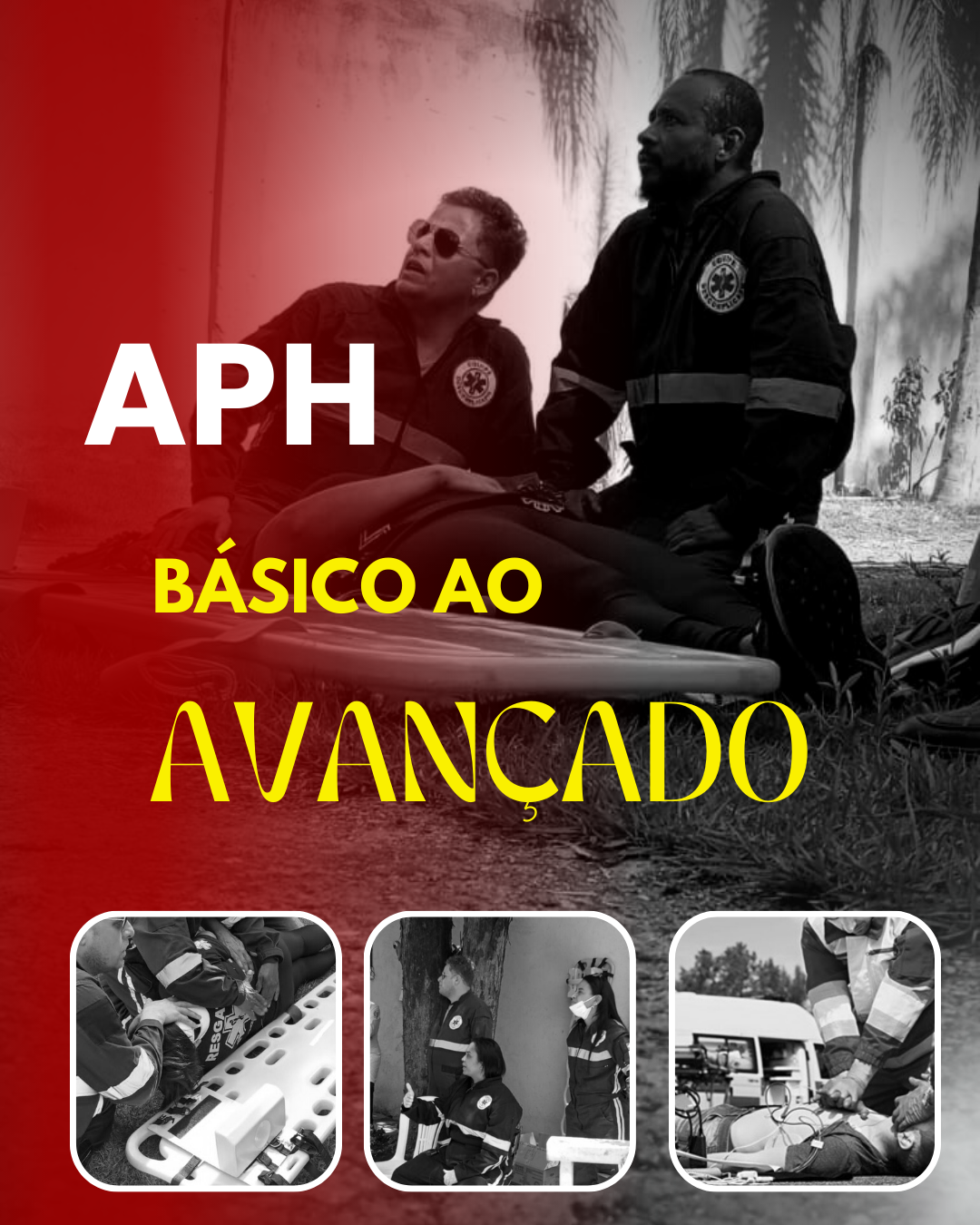 APH - Básico Ao Avançado(Pós Curso) - Priscila keslen dos Santos