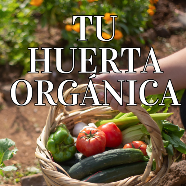 Tu Huerta Orgánica - Kiko Pérez | Hotmart