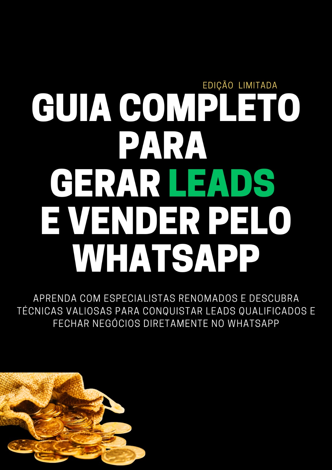 GUIA COMPLETO PARA GERAR LEADS E VENDER PELO WHATSAPP - BNROBOT | H...