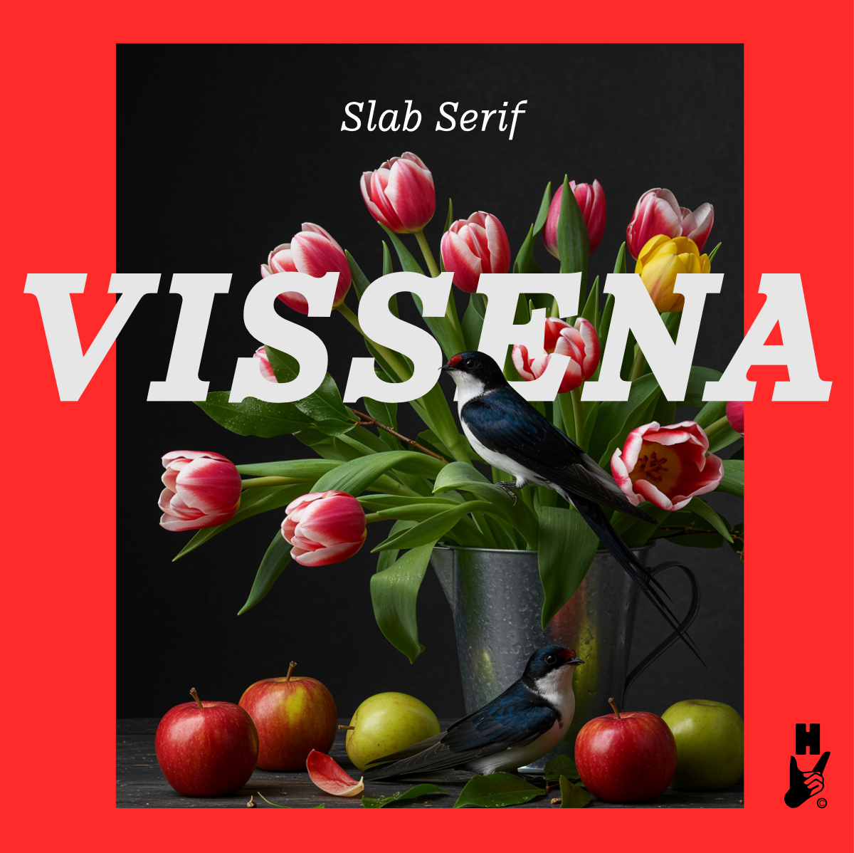 Vissena Typeface - Bruno Guedes | Hotmart
