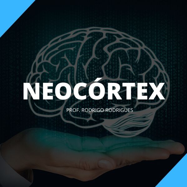 Néocortex: Aprendendo A Aprender