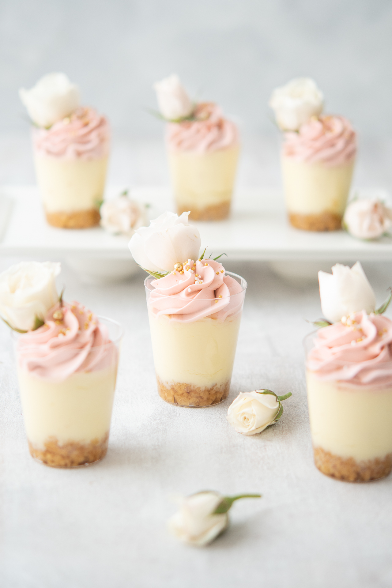 Ebook Postres en Shots + Galletas para Emprender - Vainilla Cakes b...