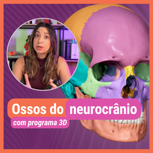 Apostila OSSOS DO NEUROCRÂNIO. Material de Apoio aulas Youtube. - A...