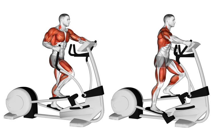 Workout animation , 3D exercises - Deepanshu | Hotmart
