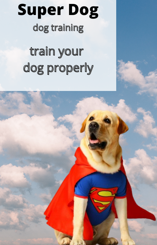 ebook - super dog dressage