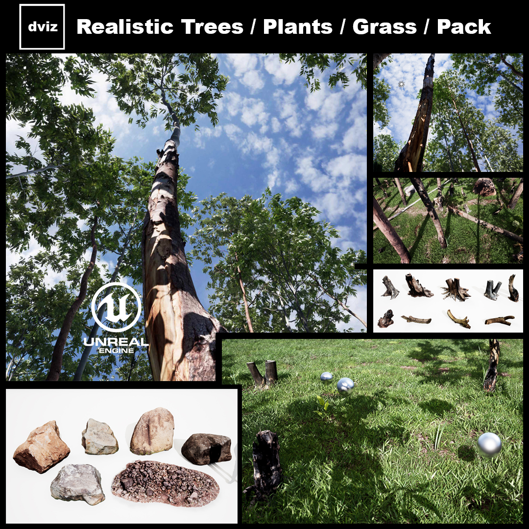 Pack - Tree and Forest 01