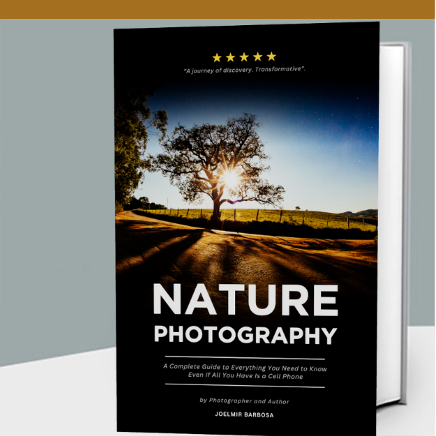 NATURE PHOTOGRAPHY - A Complete Guide to Everything You Need to Kno...