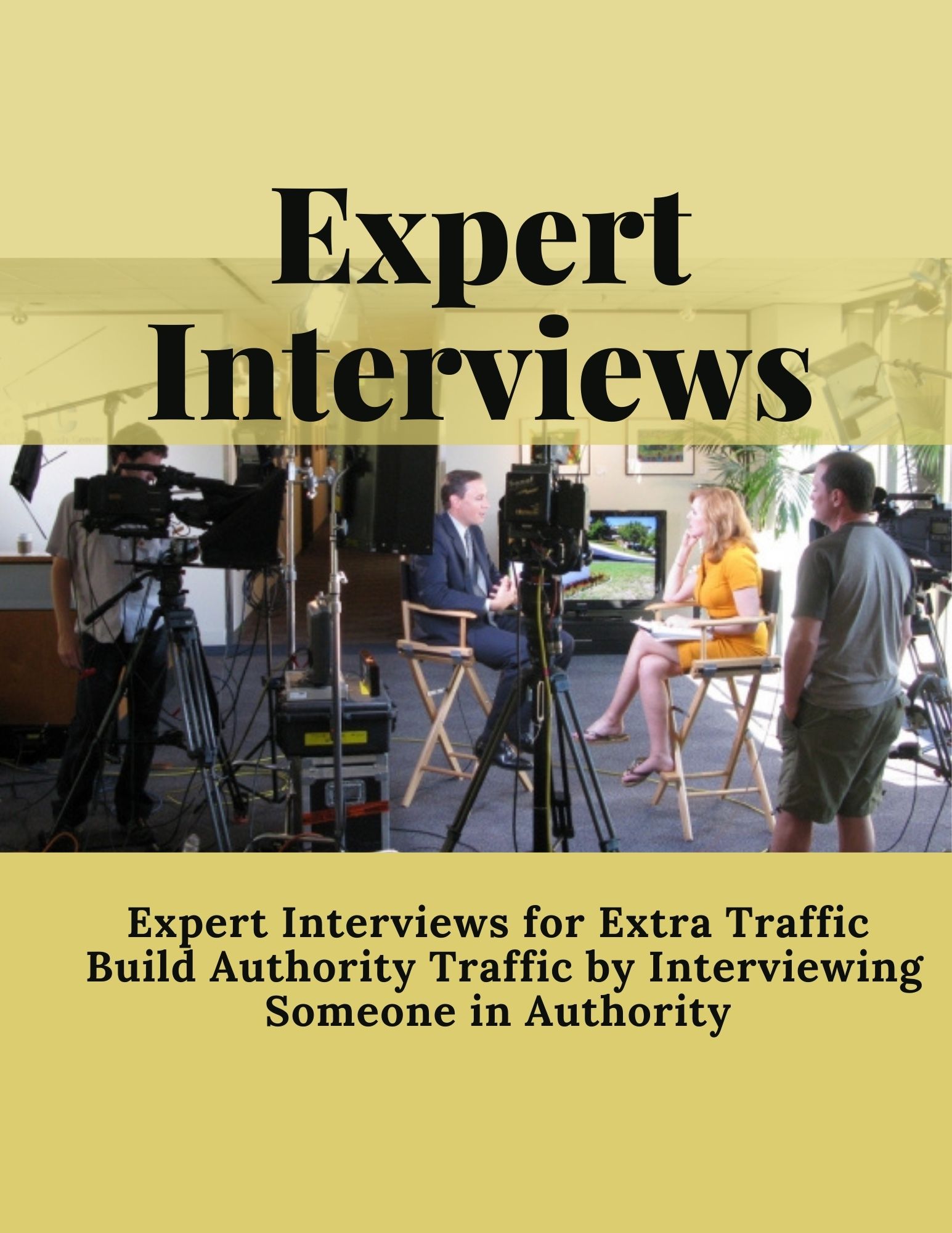 Expert Interviews