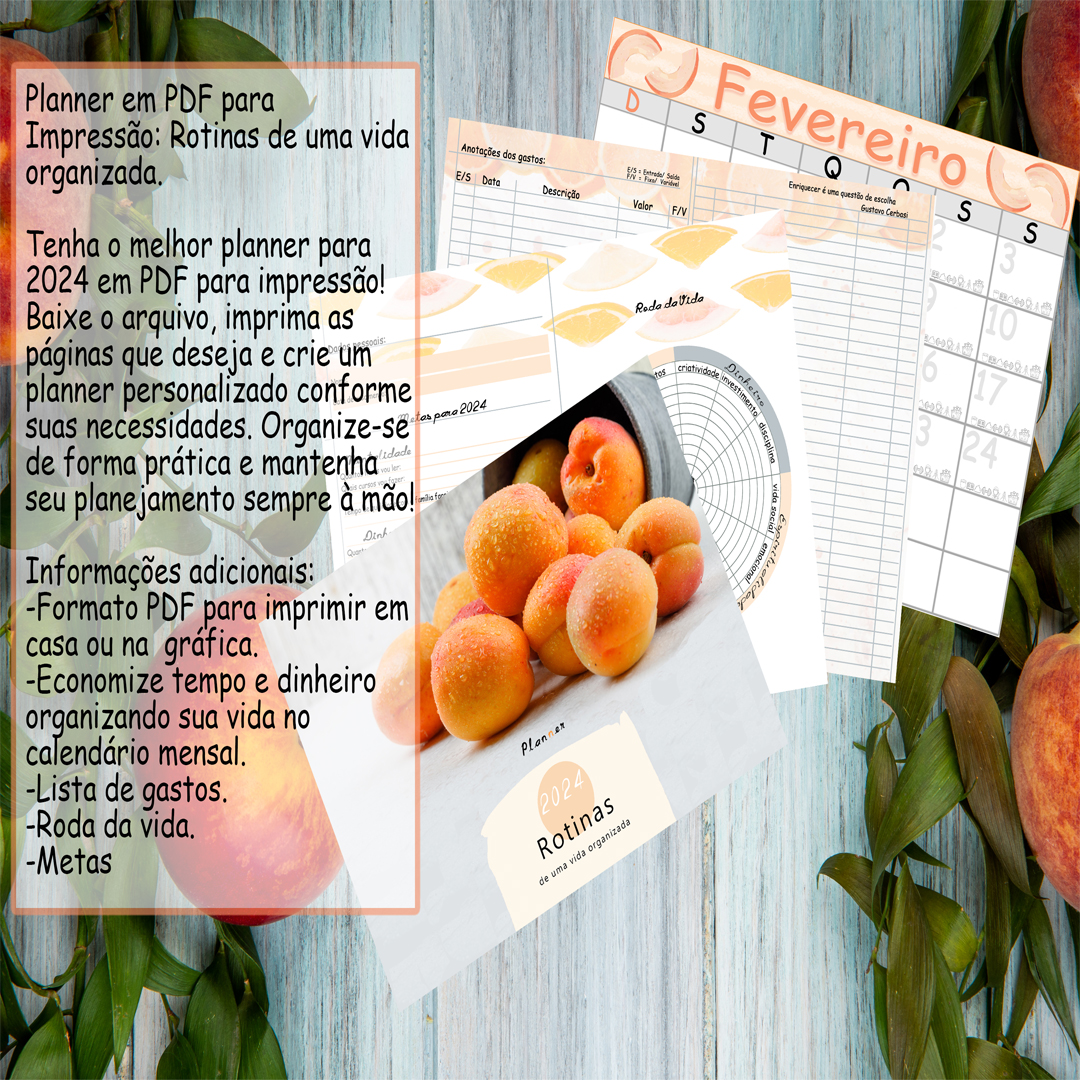 Planner 2024 - Flávia Beraldo | Hotmart