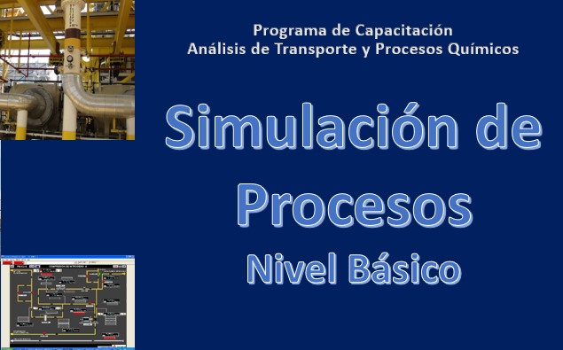 Simulación de Procesos. Nivel Básico. - Adán Martínez Antonio | Hot...