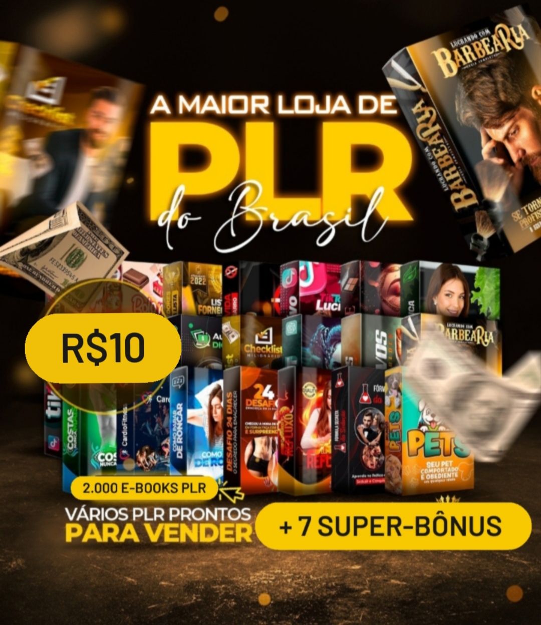 PLR E-books, E-books PLR, Ebooks PLR