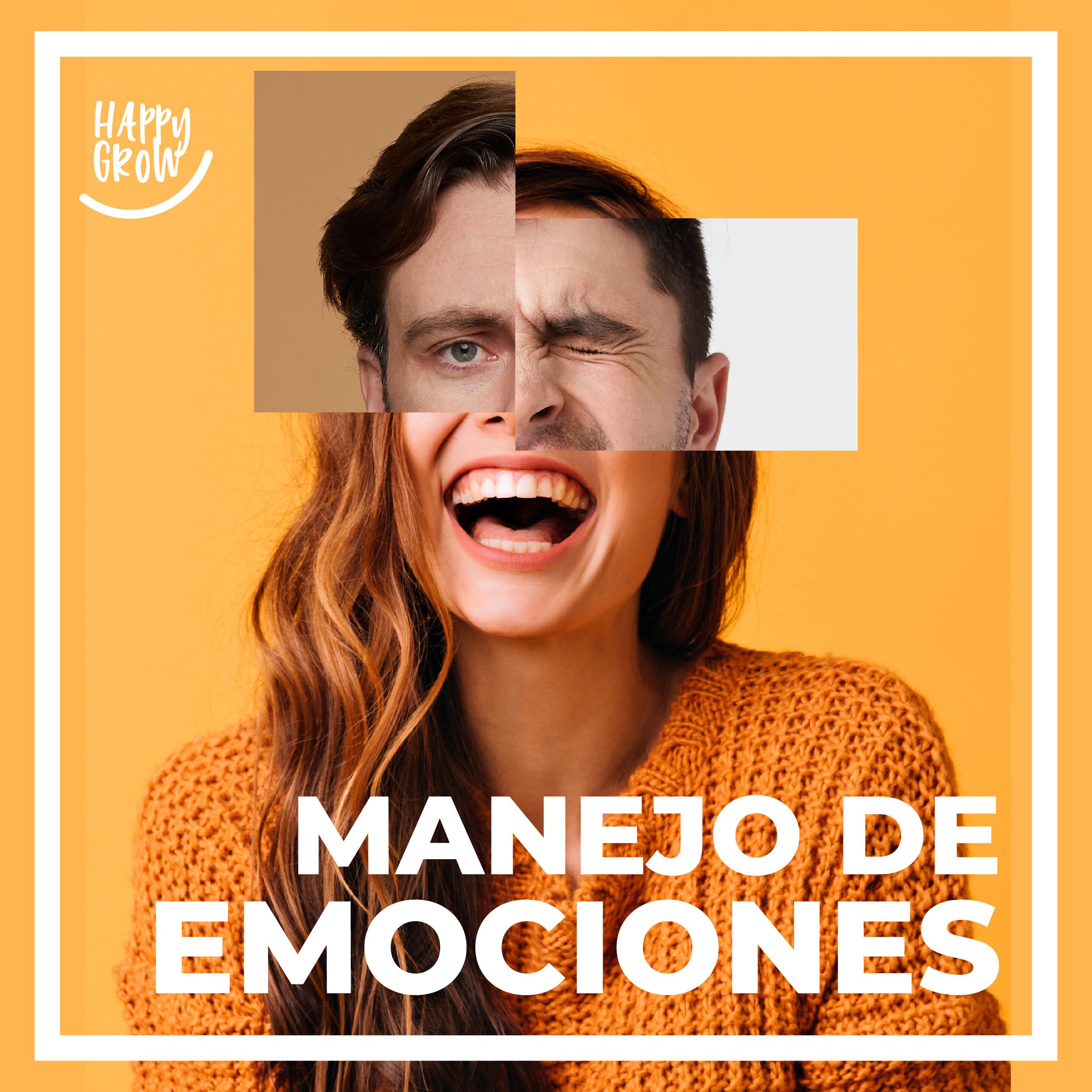 Identificación y Manejo de las Emociones - Ricardo Cavazos Jiménez ...