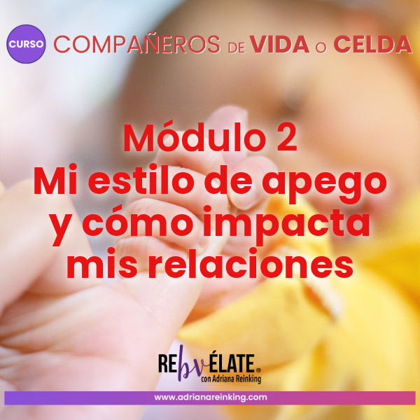 El Curso CVC Módulo 02 – Mi estilo de apego y cómo impacta mis re...