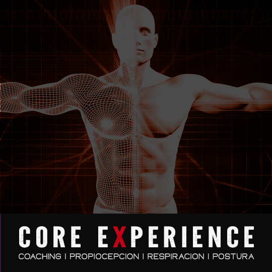 CORE EXPERIENCE