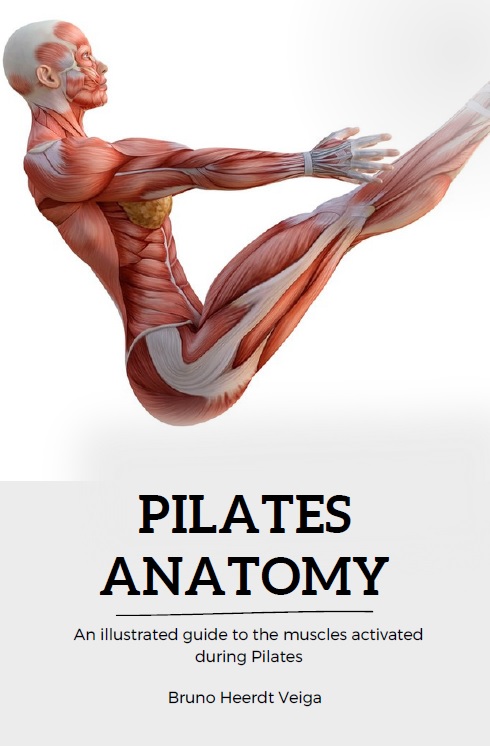 Pilates Anatomy - Bruno Veiga | Hotmart