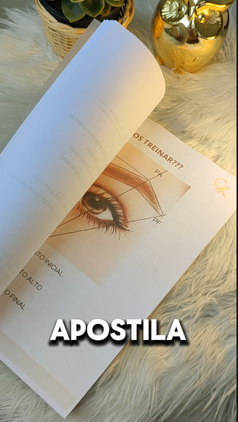 Apostila Editável Para Curso De Designer De Sobrancelhas Carolin