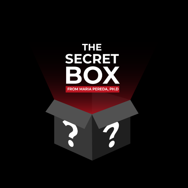 THE SECRET BOX