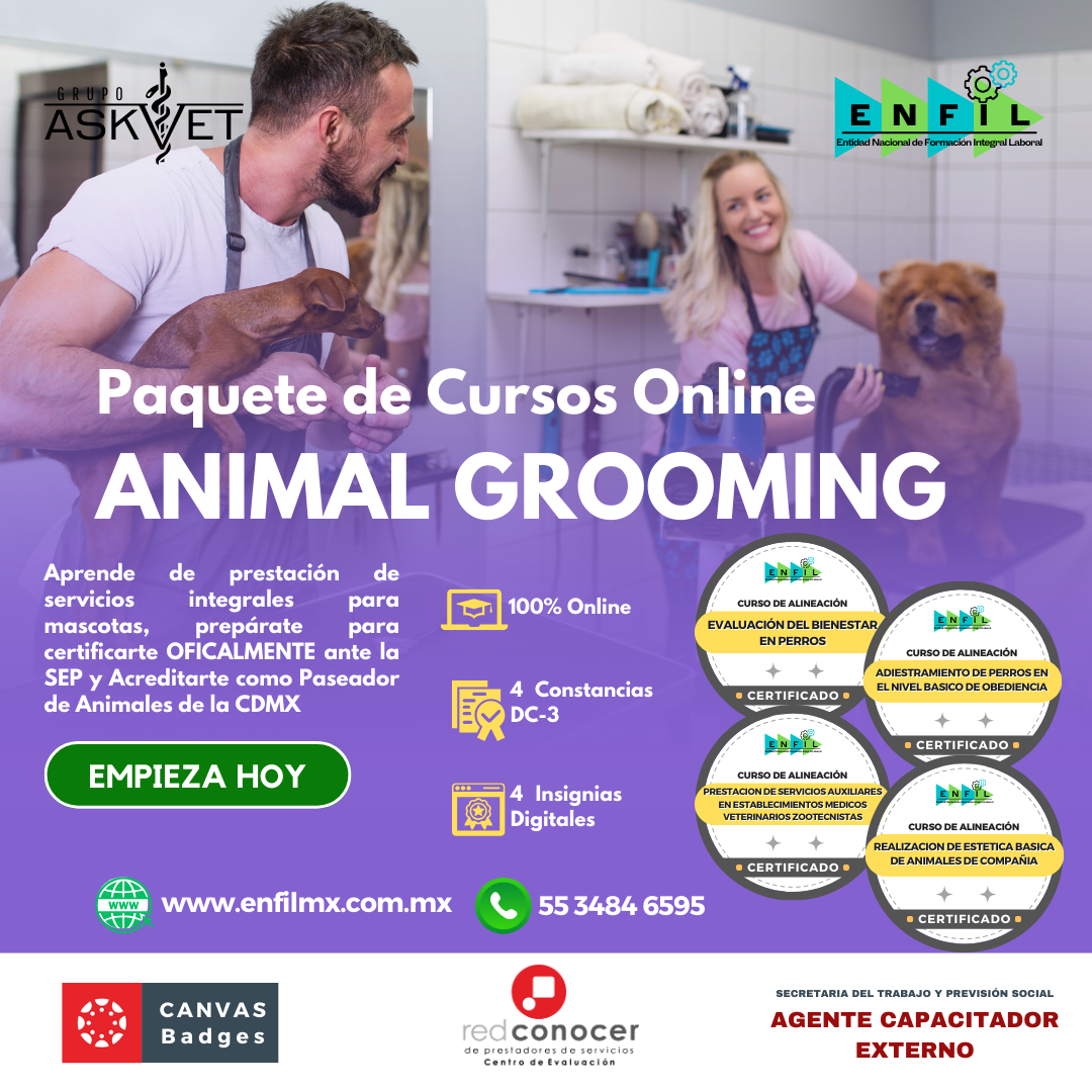 Paquete de Cursos "ANIMAL GROOMING" - ENFIL Entidad Nacional de For...