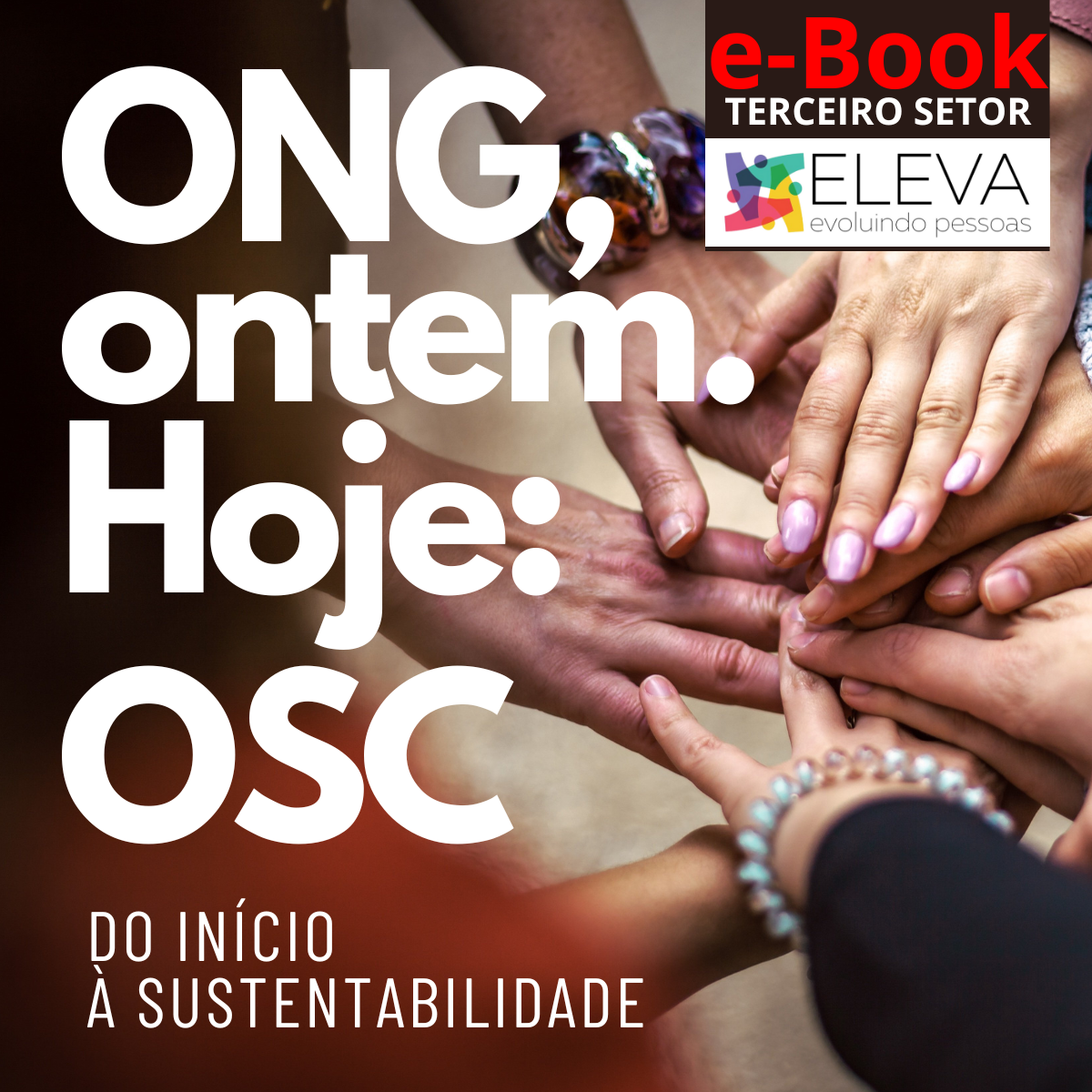 ONG, ontem. Hoje: OSC - Do início à sustentabilidade.