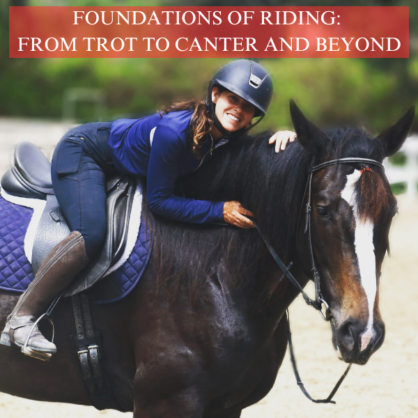Foundations of Riding: From Trot to Canter and Beyond