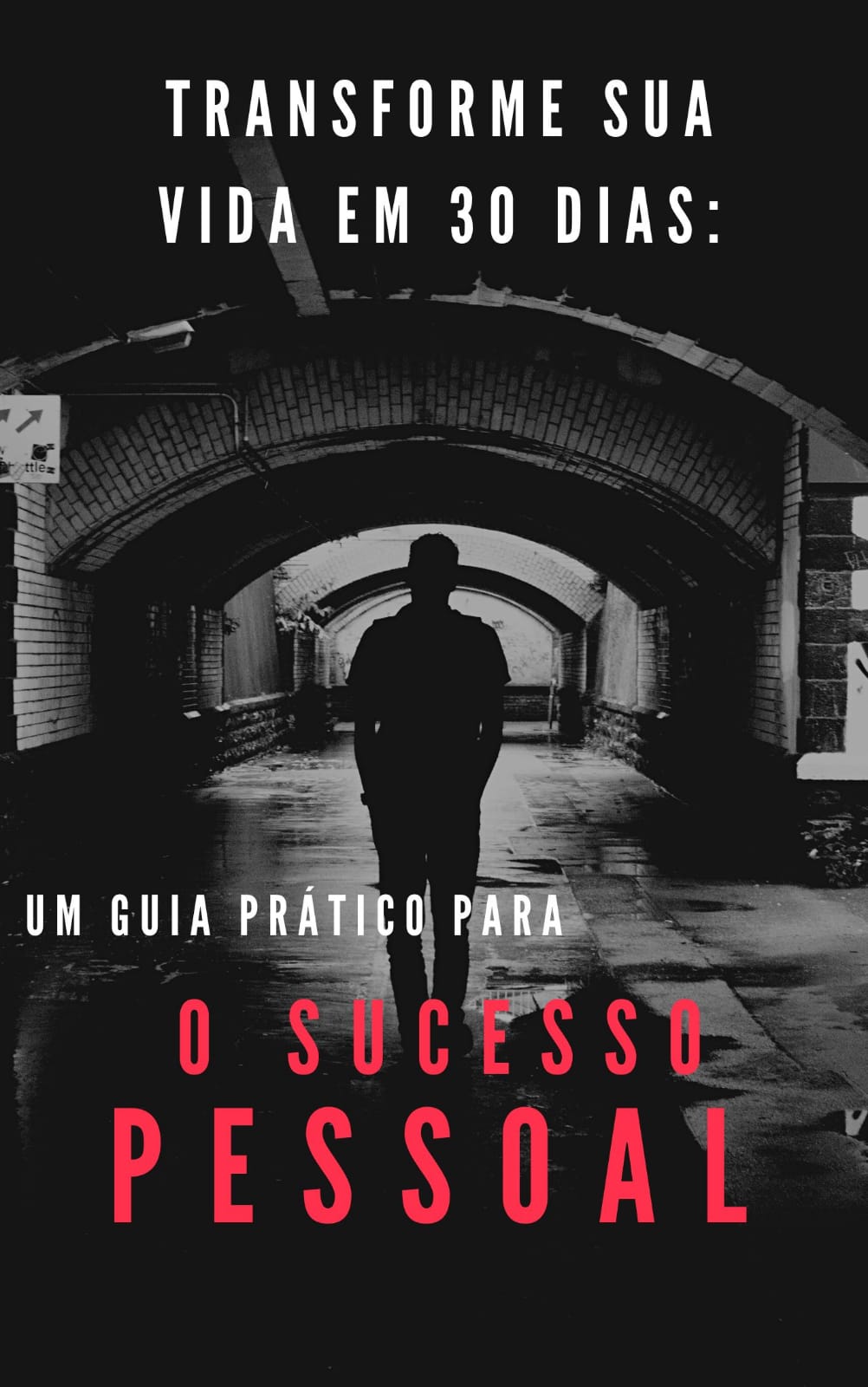 "Transforme Sua Vida em 30 Dias: Um Guia Prático para o Sucesso Pes...