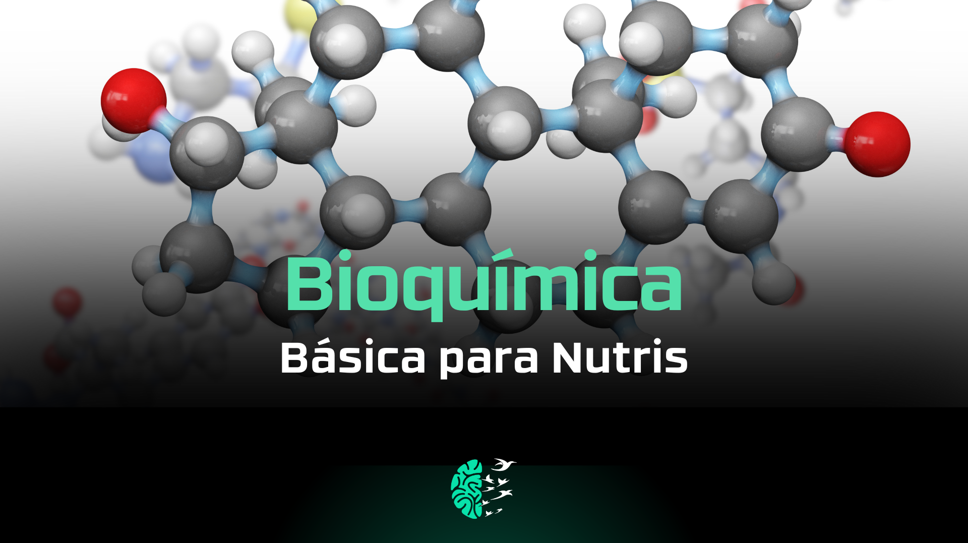 Bioquímica Básica para Nutris - Luan Lisboa | Hotmart