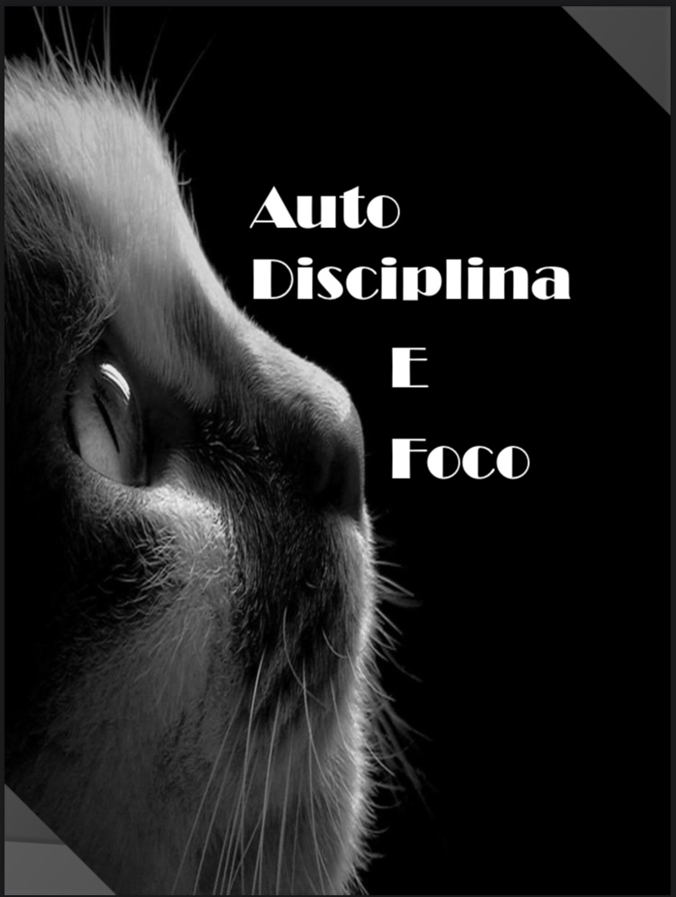 Auto - Disciplina e Foco o Segredo para o Sucesso - Jhonatan Rebizz...