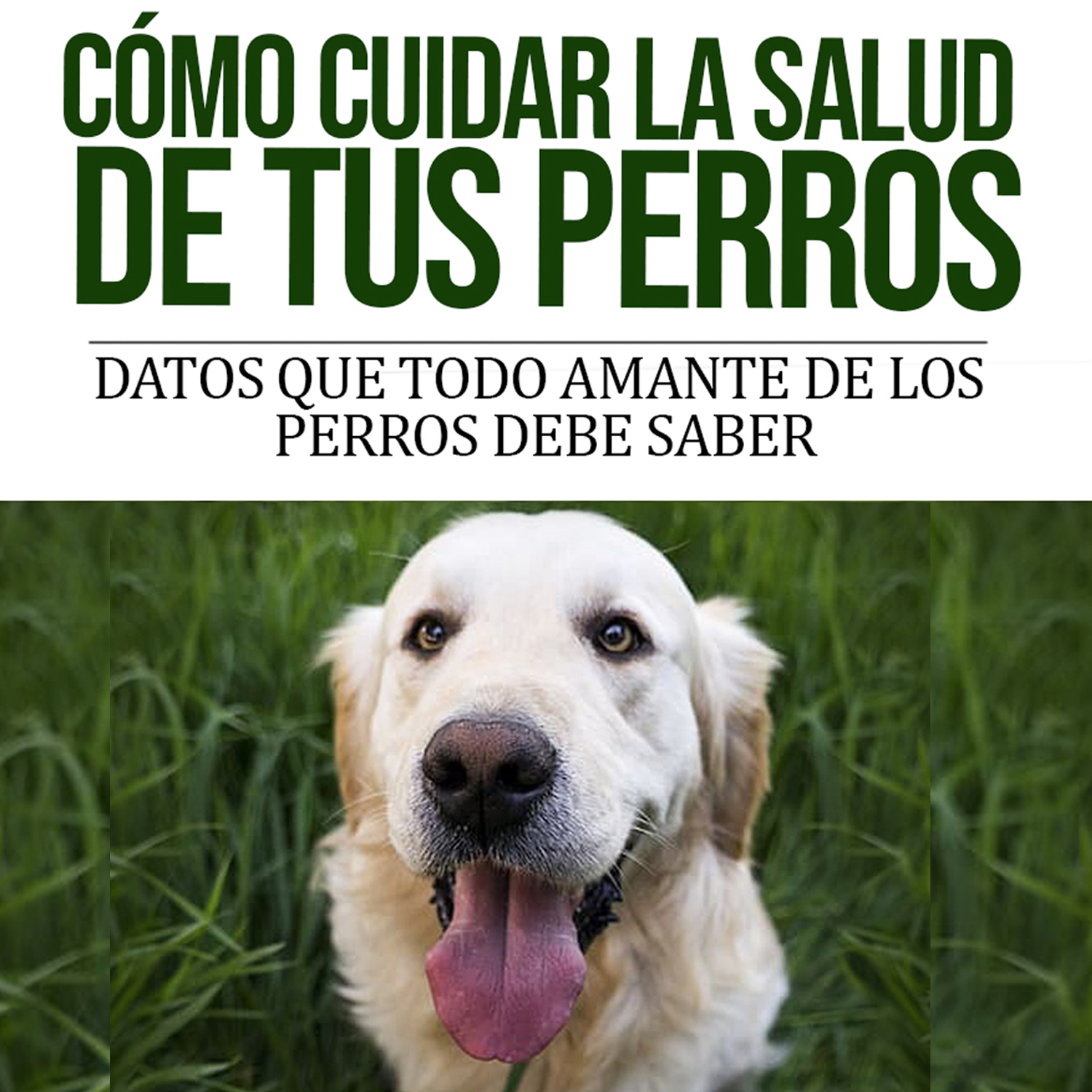 Cómo cuidar la salud de tus perros