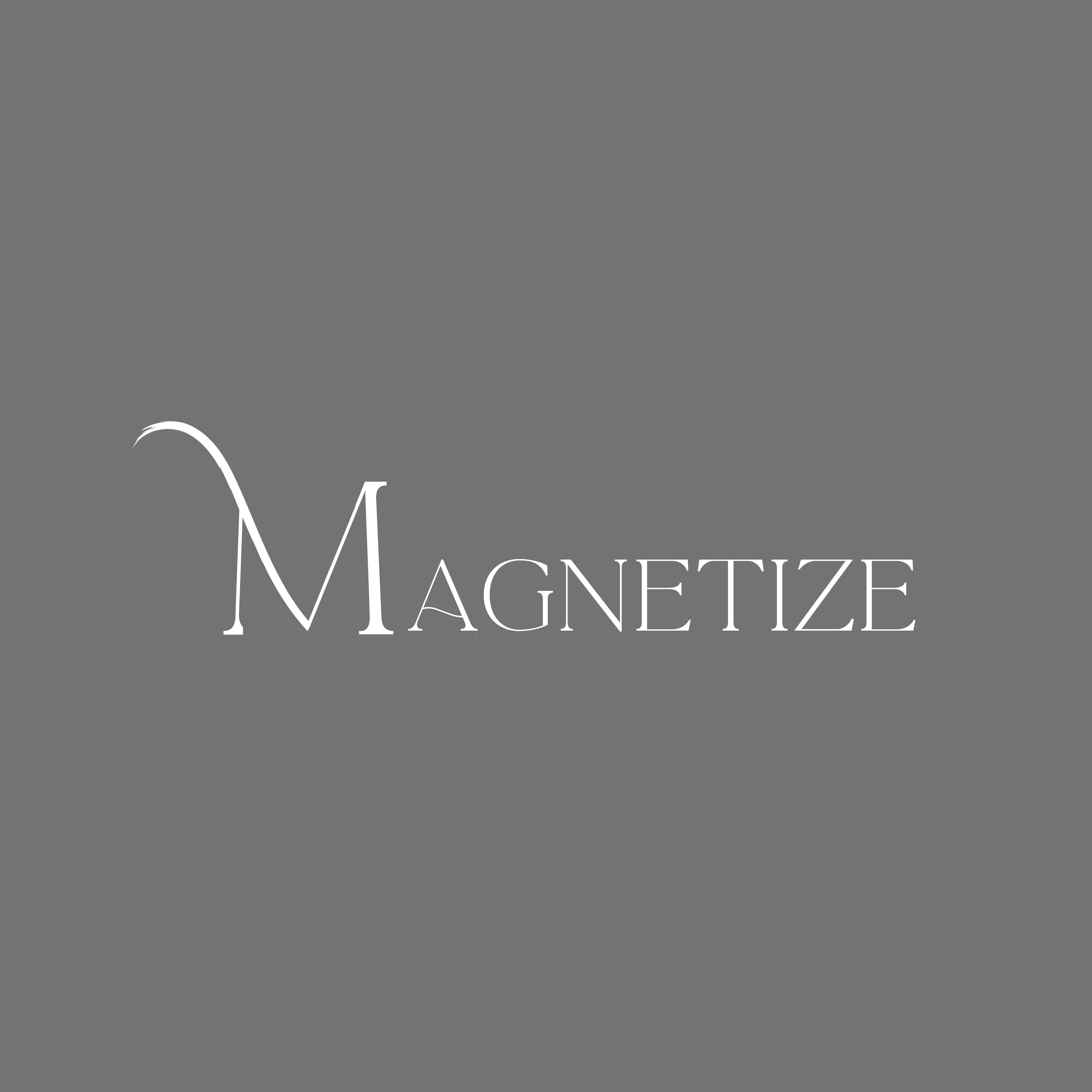 Magnetize - joice mendes rocha | Hotmart