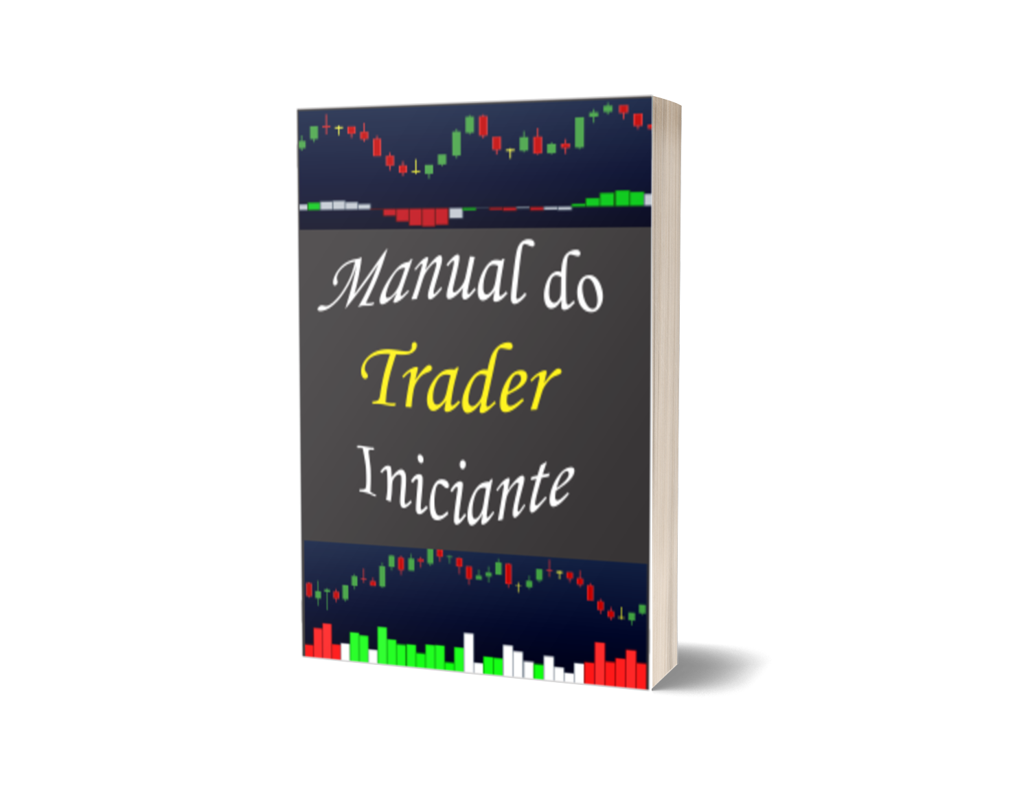 Manual do Trader Iniciante