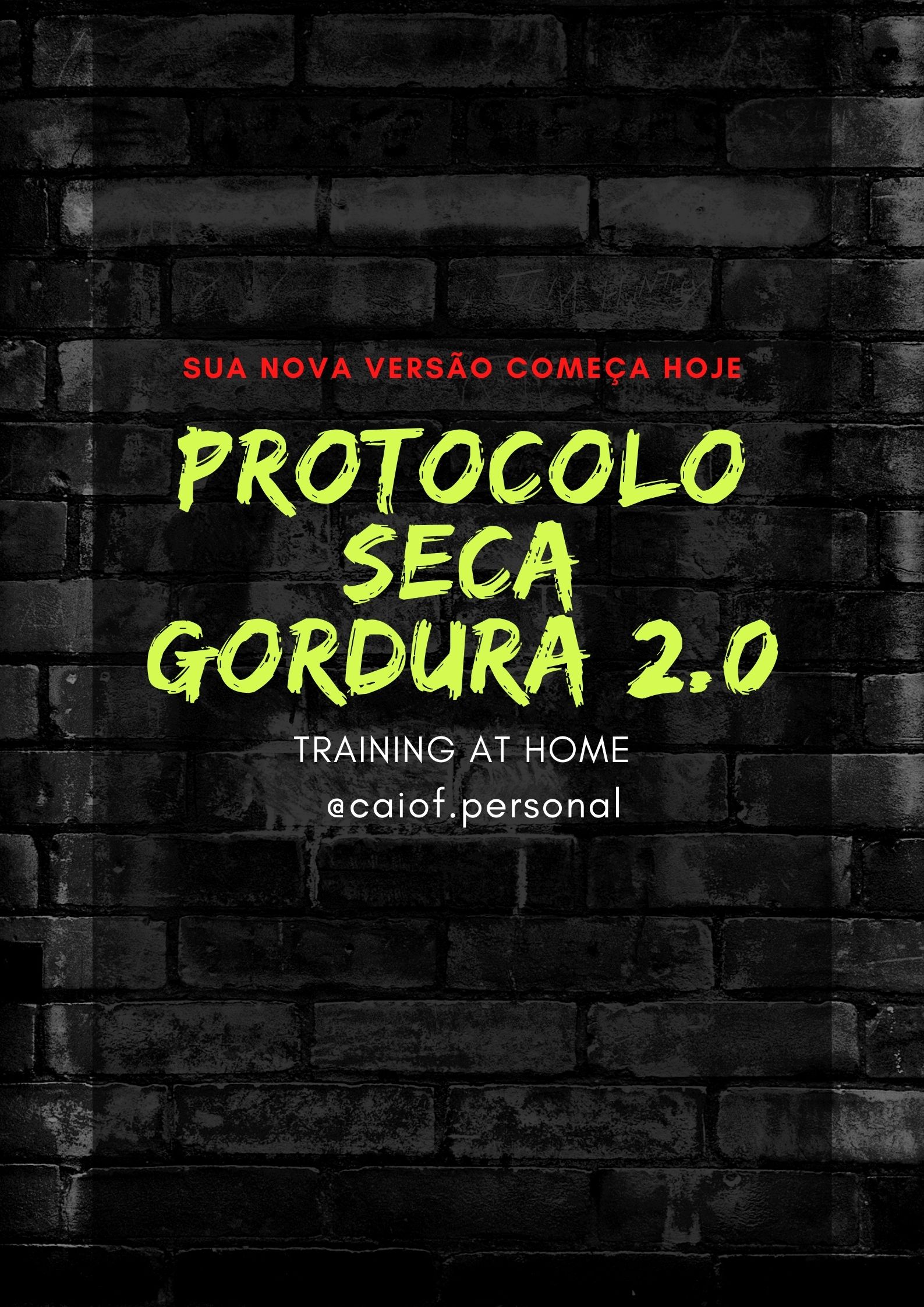PROTOCOLO SECA GORDURA 2.0
