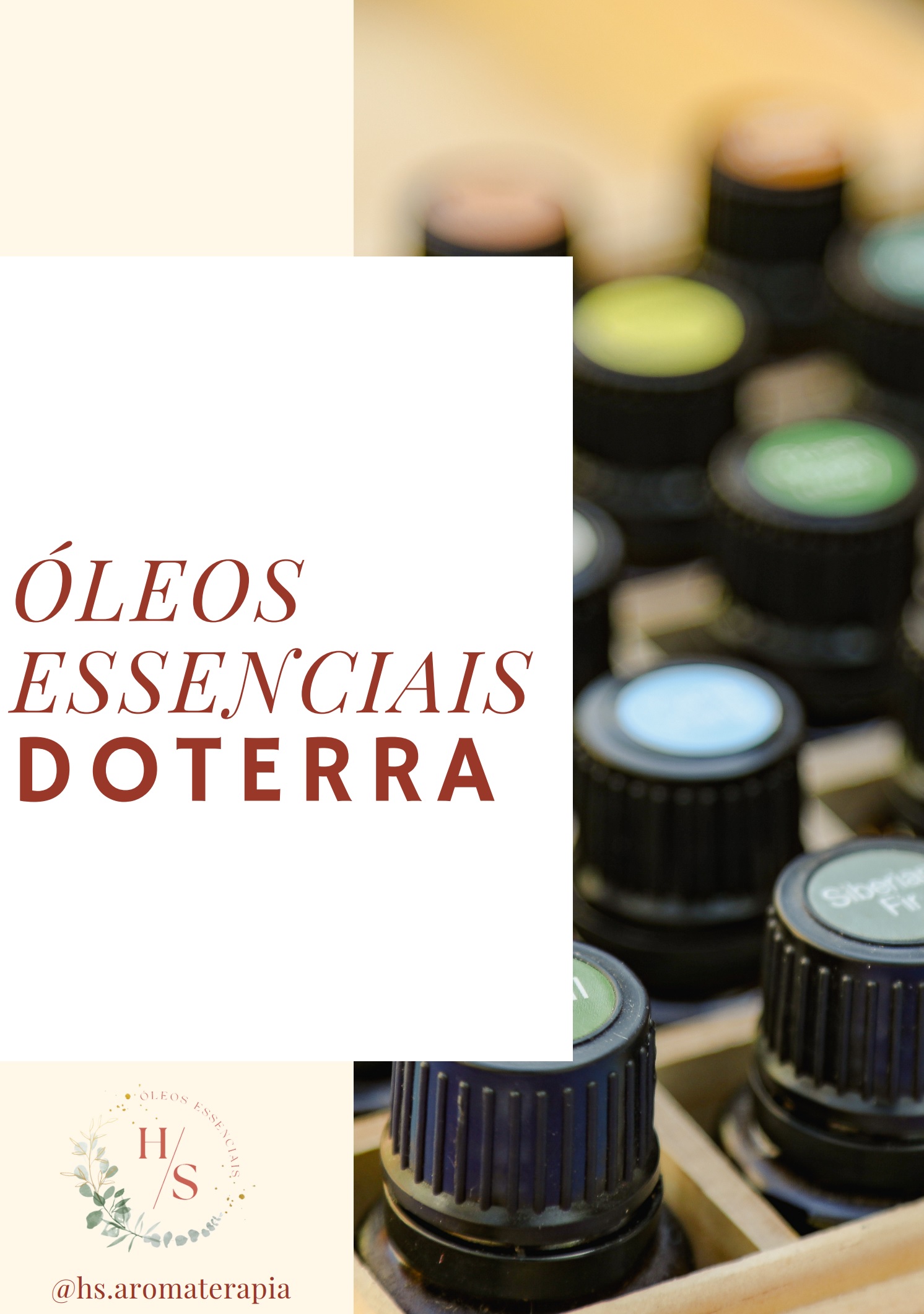 E-BOOK OLEOS ESSENCIAIS DOTERRA - KIT BRASIL LIVING - HELOÍSA SILVE...